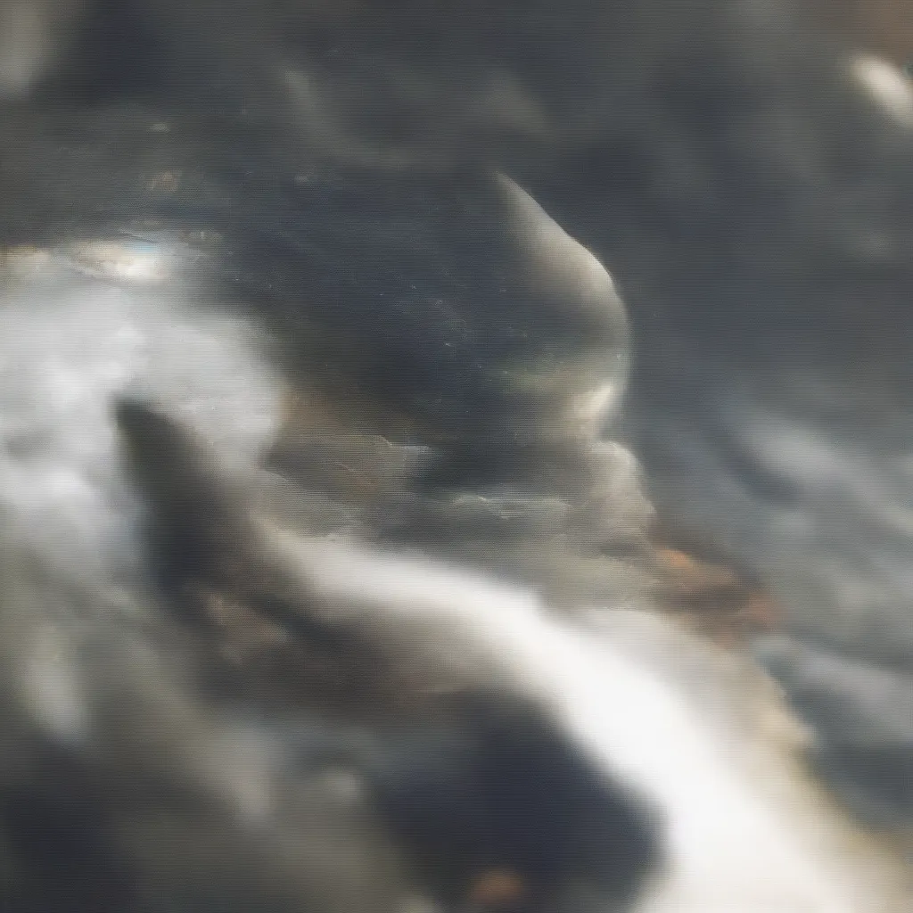 Unblock Drain Naturally: Effective Non-Toxic Solutions